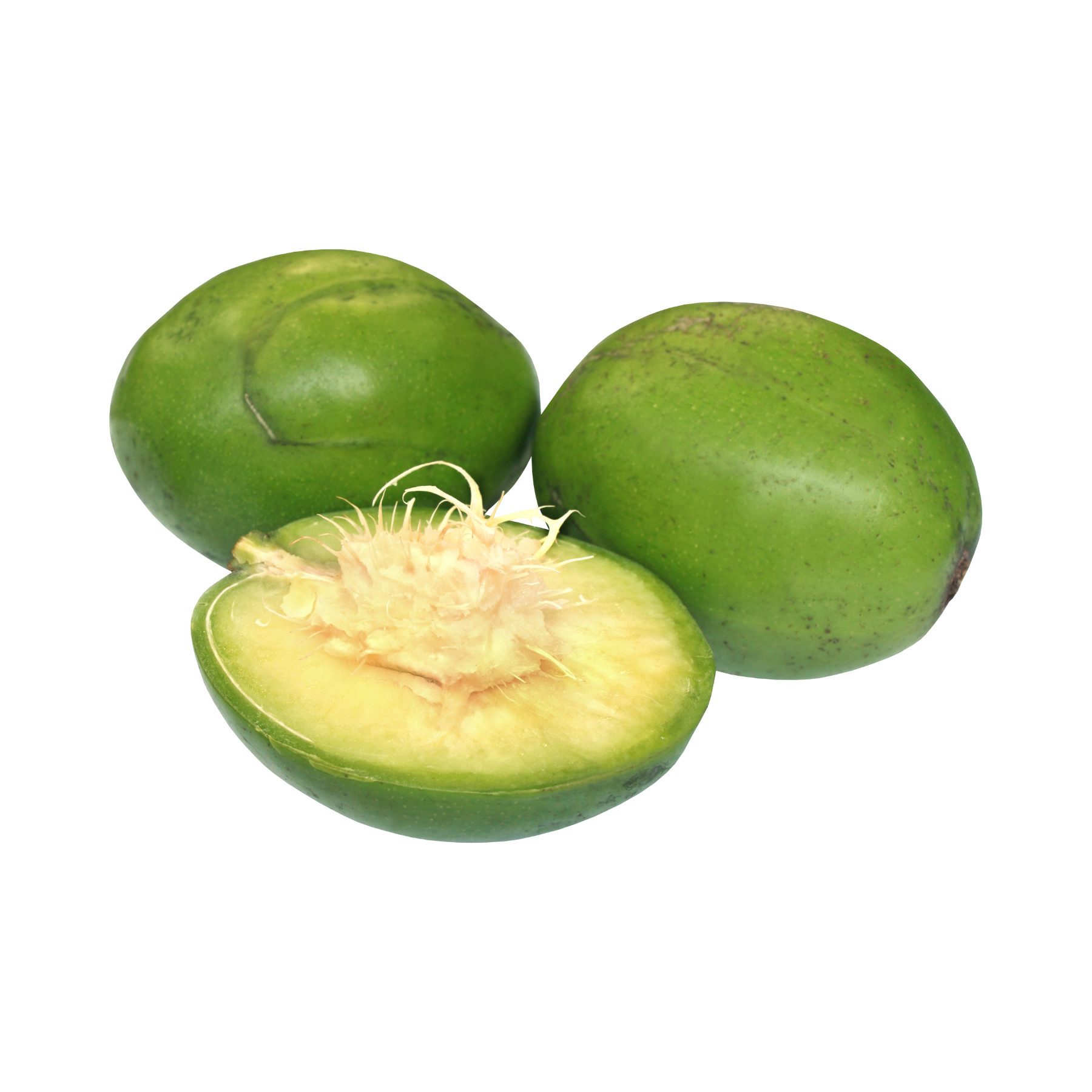 Hog Plum (Amra) – Naturanna