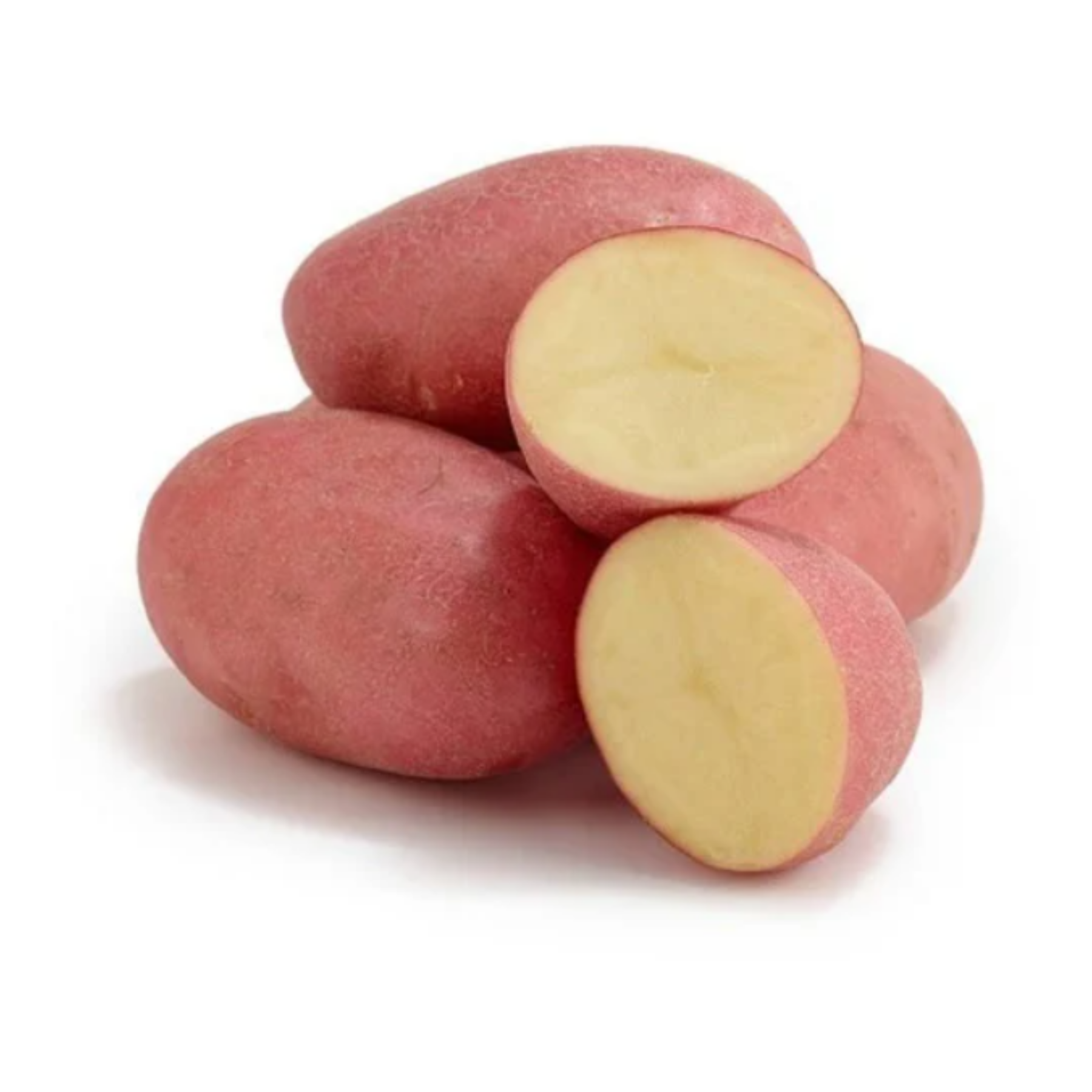 Potato Holland – Naturanna